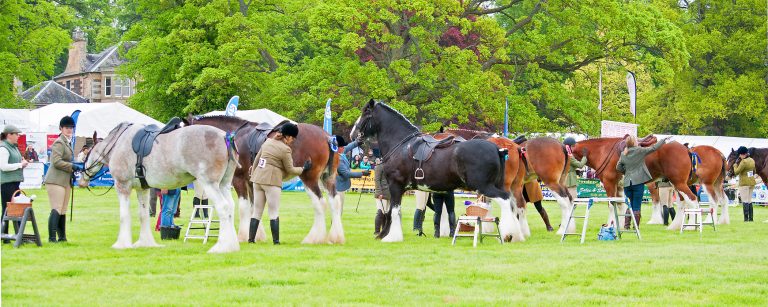 Fife Show 2025 – Fife Show