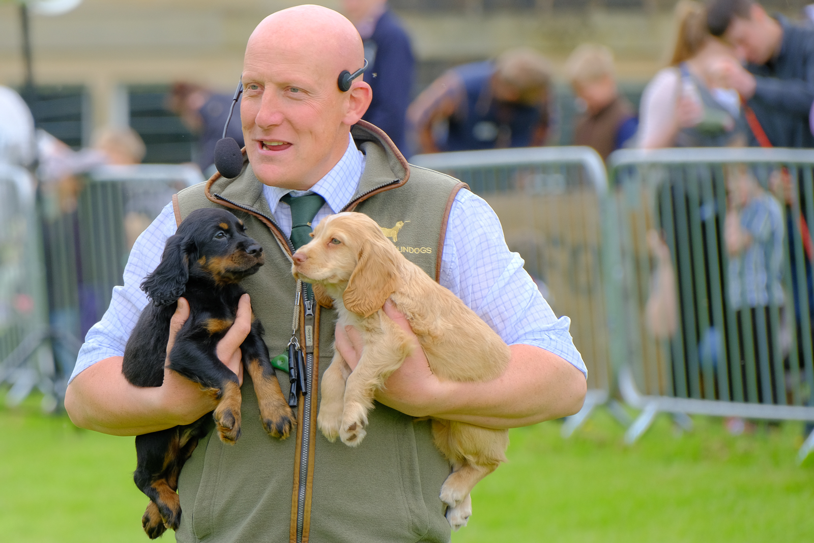 Fife Show 2025 – Fife Show