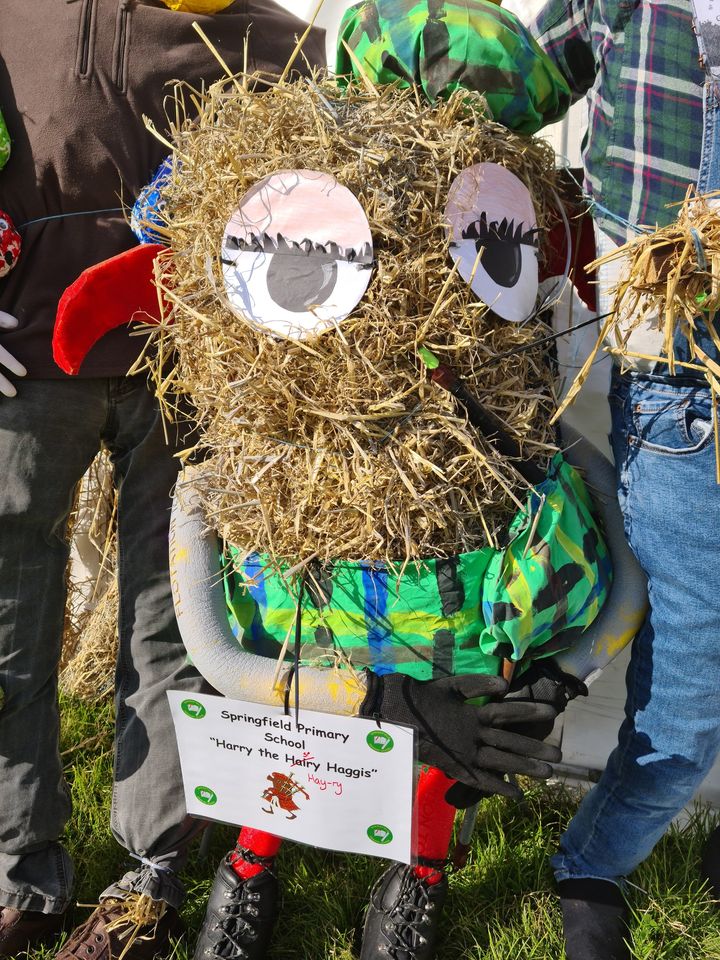 Fife Show 2025 – Fife Show